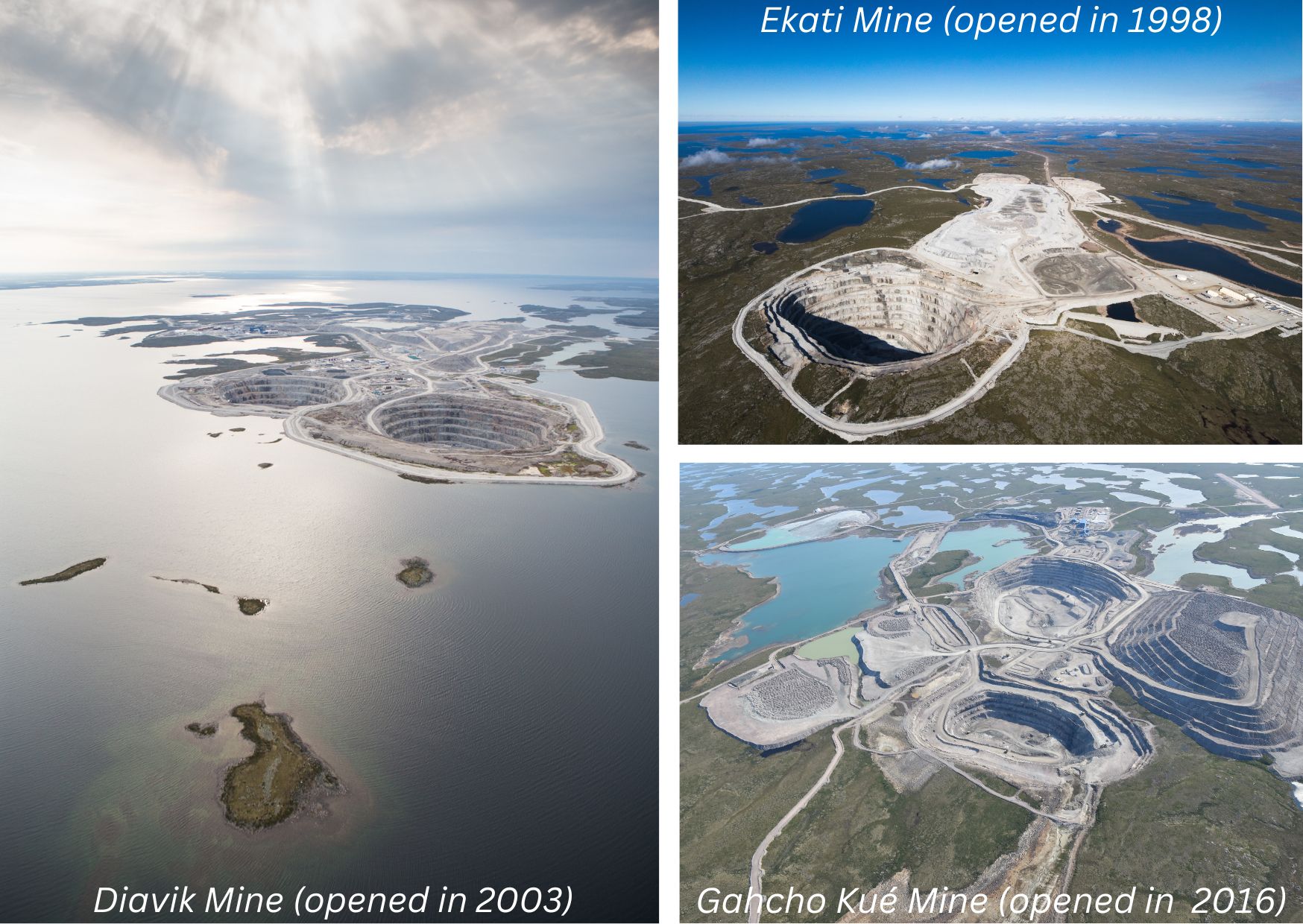 Tindi the Mascot – 12th International Kimberlite Conference